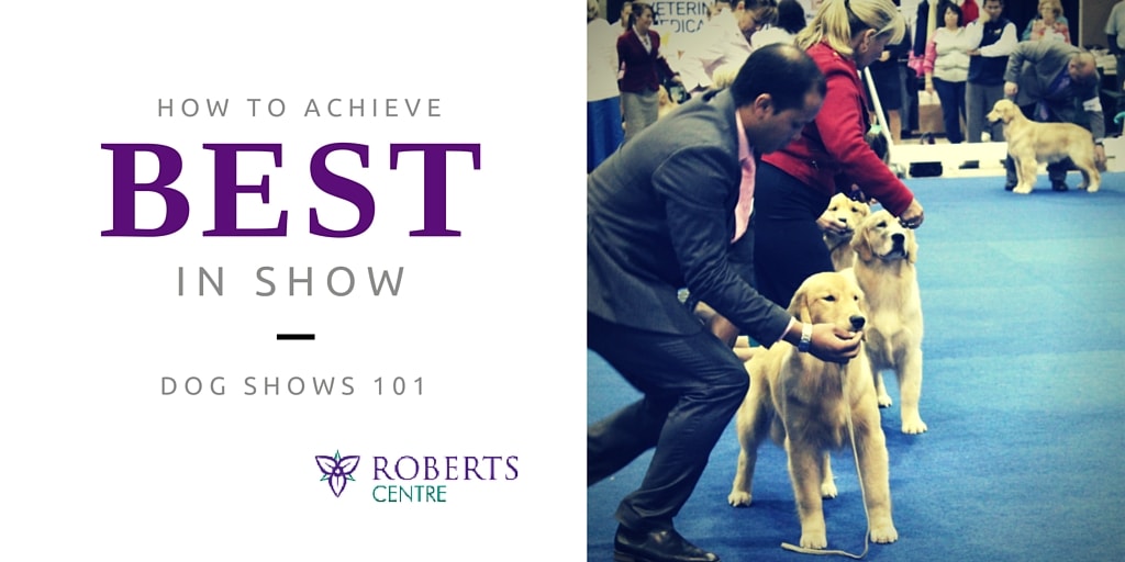 Dog Shows 101 at Roberts Centre