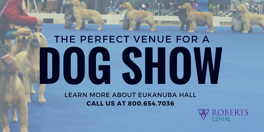 Dog Shows 101 at Roberts Centre