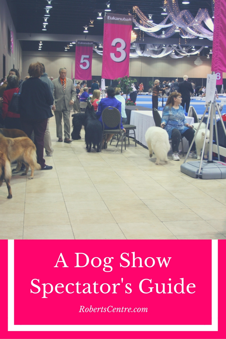 A Dog Show Spectator’s Guide: Part 2